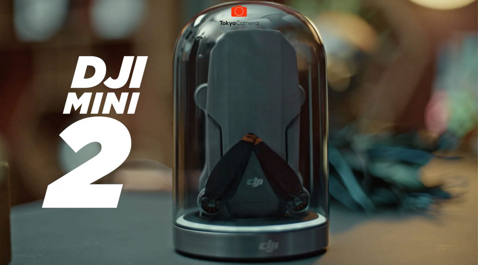 DJI Mavic Mini 2 Combo (Chính hãng) Trả góp lãi suất 0% - Tokyo Camera