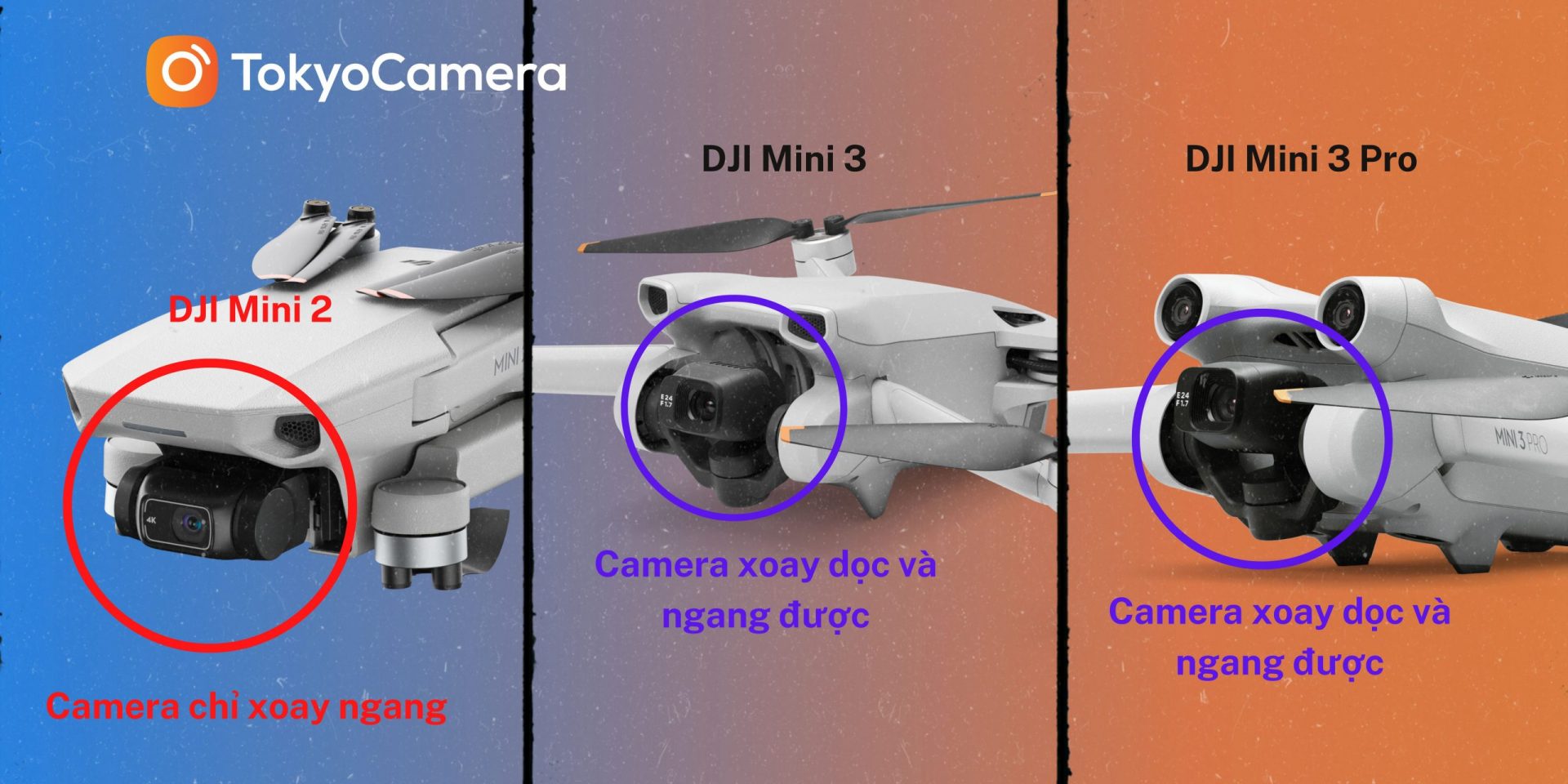 Review thực tế DJI Mini 3 với Mini 3 Pro và Mini 2 - Tokyo Camera