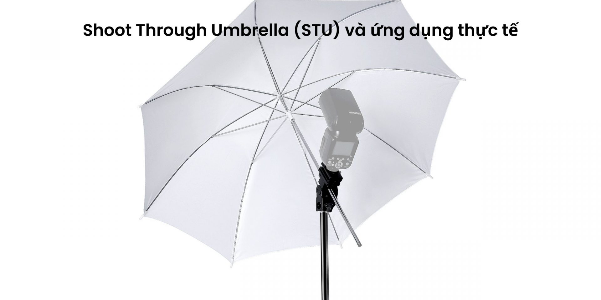 Tìm hiểu về Light Modifier - những công cụ điều chỉnh ánh sáng phổ biến ...