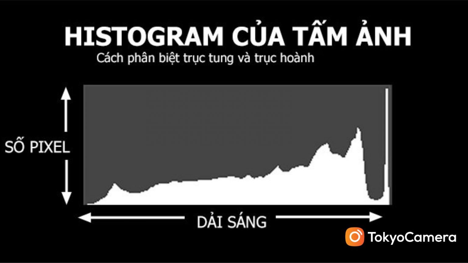 Tìm hiểu về biểu đồ histogram trong nhiếp ảnh - Tokyo Camera