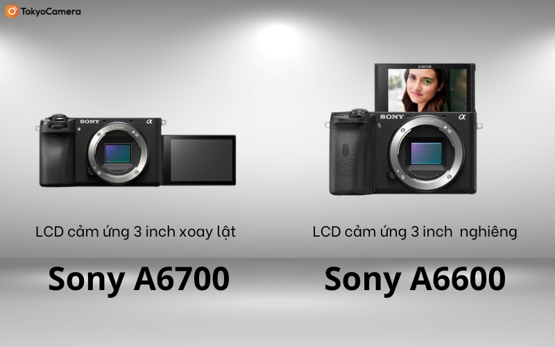 Sony A6700 Vs Sony A6600: 4 Năm Cho Sự Thay Thế Xứng Tầm