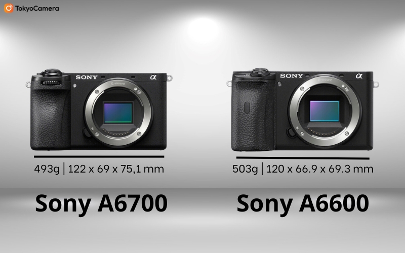 Sony A6700 Vs Sony A6600: 4 Năm Cho Sự Thay Thế Xứng Tầm