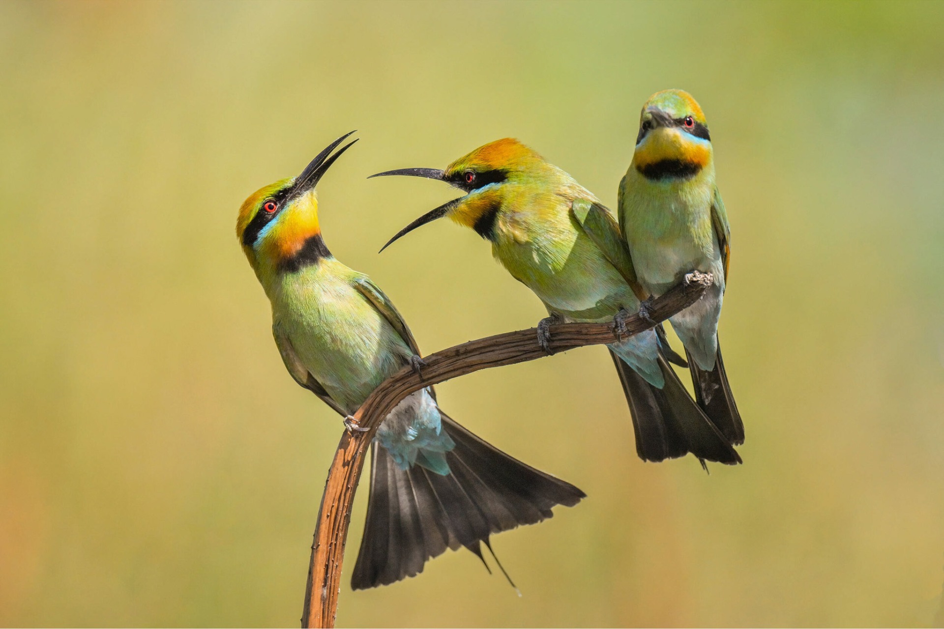 Nikon Z8 Vs Sony A7R V - 2 Siêu Phẩm Được Đặt Lên Bàn Cân