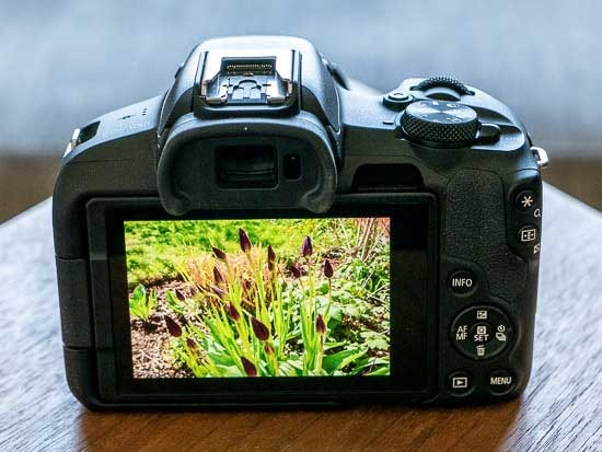 So sánh Canon EOS R50 và R10 - lựa chọn tuyệt vời trong tầm giá