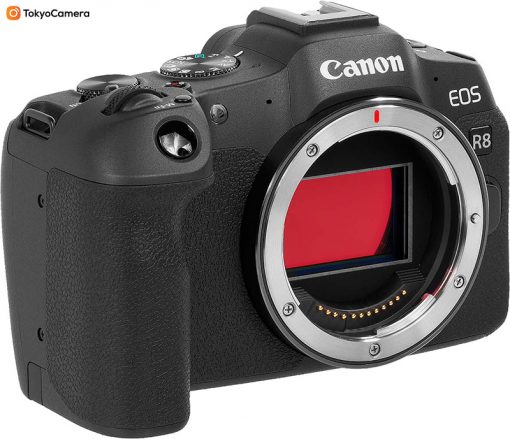 Review Canon EOS R8 - Mảnh Ghép Hoàn Hảo Cho Sáng Tạo