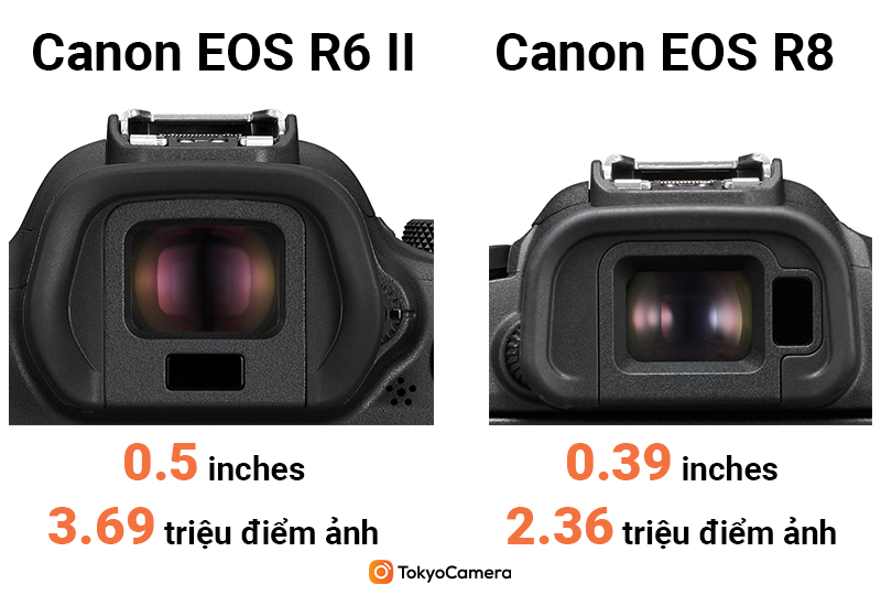 Canon EOS R8 Vs EOS R6 II: Lớn Hơn Liệu Có Tốt Hơn?