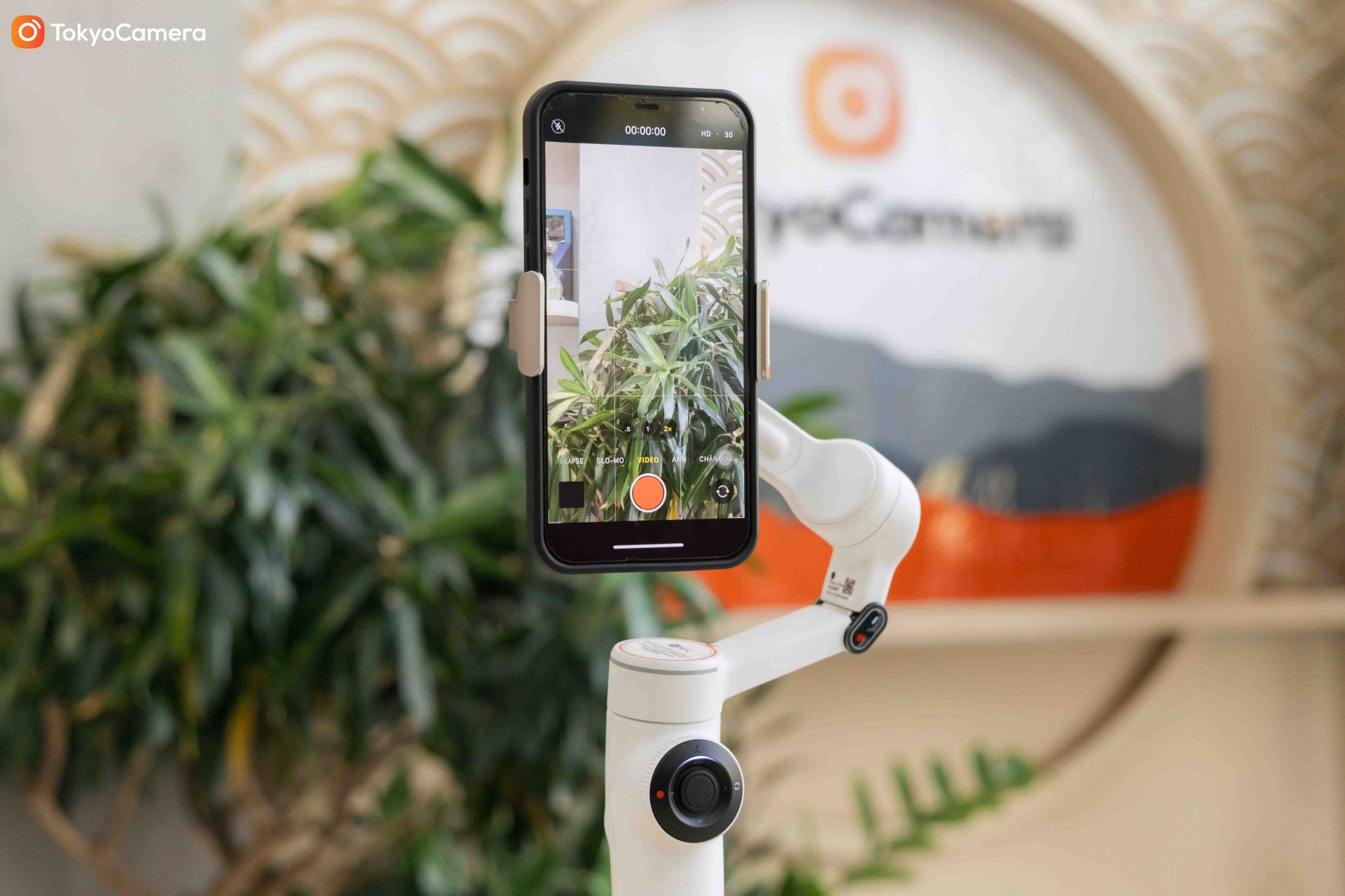 Insta360 Flow 2 Pro Vs Flow Pro - Nâng Cấp Nhẹ Mà Xứng Đáng