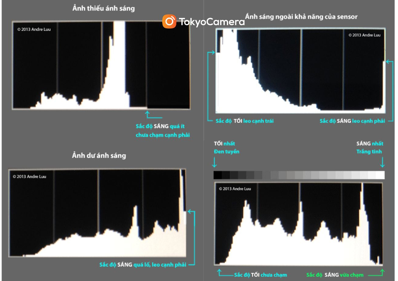 Dynamic Range Là Gì Và Ứng Dụng Để Chụp Ảnh Đẹp Hơn